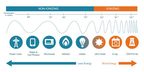 Theory Of Interest Food Waves And Particles
