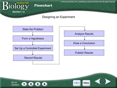 Ppt Designing An Experiment Powerpoint Presentation Free Download