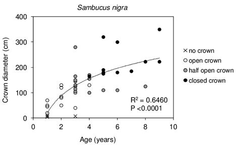 Logarithmic Relation Between Age And Crown Diameter For Different Crown
