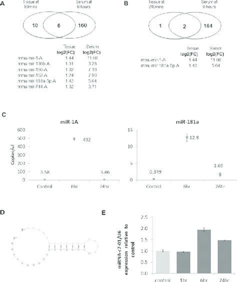 Circulating Extracellular Rna After Partial Hepatectomy A And B Download Scientific Diagram