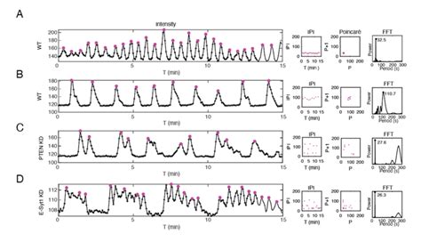 Line Intensity Profile Interpeak Interval Ipi Poincare P Vs P 1 Download Scientific