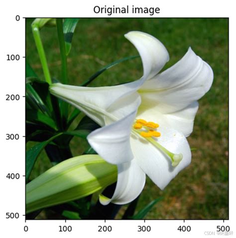 使用聚类算法进行图片压缩 Csdn博客