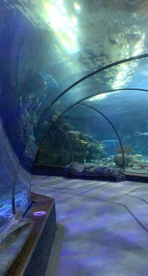 Discover 110 Ocean Core 🌊🫧 And Ocean Ideas Pretty Pictures Aesthetic Pictures Mermaid