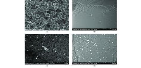 A First Picture B Second Picture C Third Picture D Fourth Download Scientific Diagram
