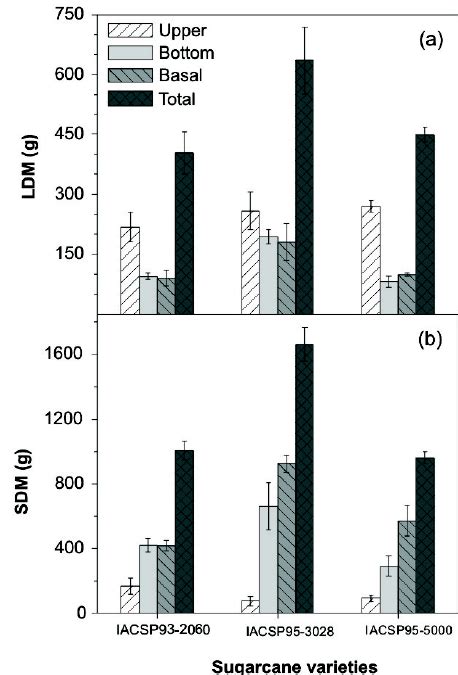 Dry Matter Partitioning In Plant Canopy Of Three Sugarcane Varieties