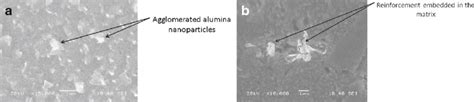 sem micrographs representing the matrix reinforcement compatibility in