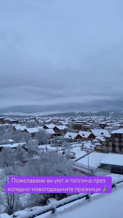 Пожелаваме ви уют и топлина през коледно новогодишните празници 🎄 Youtube