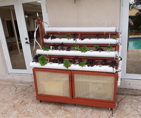 Diy Simple Hydroponics System