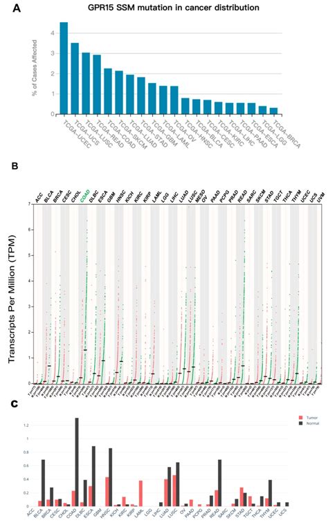 An Integrated Pan Cancer Analysis And Structure Based Virtual Screening Of Gpr15 Pmc