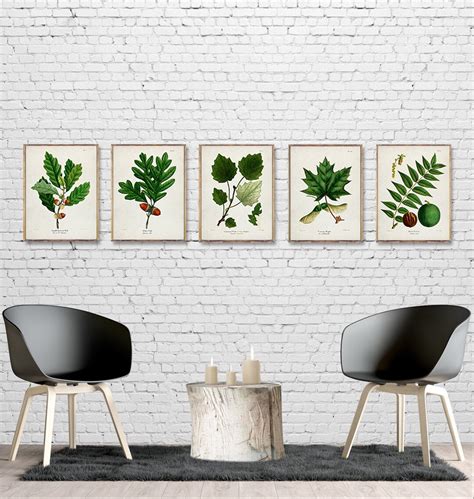 TREES Poster Set Vintage Tree Art Prints Hardwood Trees Posters Chestnut Oak Print White