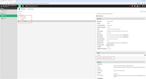 搭建自己的nexus私有仓库5 测试docker仓库pull和push 编程技术分享