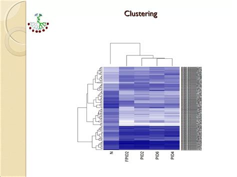 Rna Seq Pipeline PPT
