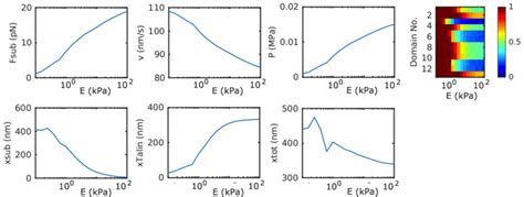 role of the ecm rigidity on an adhesion chain model variables f sub