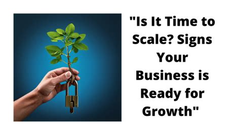 Scaling Your Business Unlocking Growth Strategies For Small Businesses John