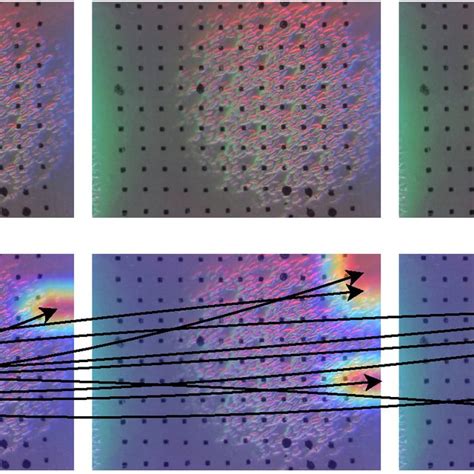 Temporal Attention Distribution Upper Row The Raw Tactile Textures Download Scientific