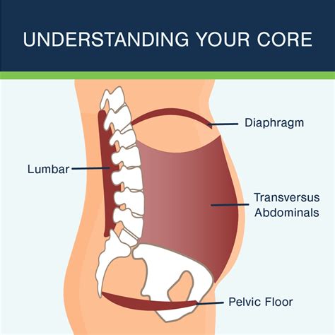 Understanding Your Core