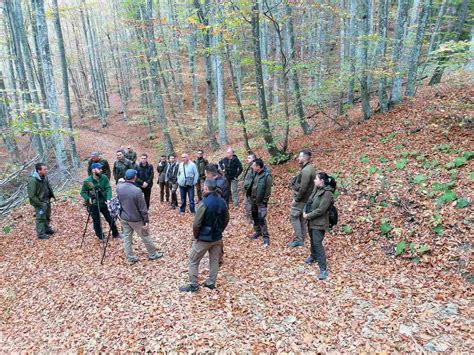 26 лесовъди от ЮИДП преминаха обучение за опазване на защитени видове птици