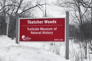 15 Best Things To Do In Maywood Il The Crazy Tourist