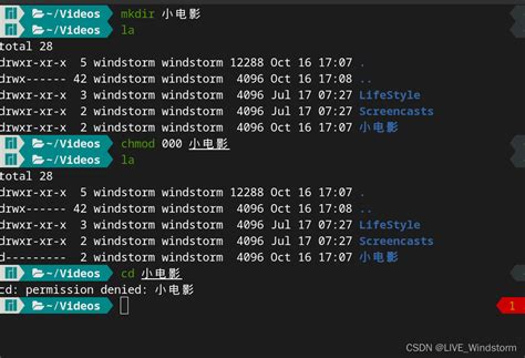 Linux文件管理 Csdn博客 Linux文件管理 Csdn博客
