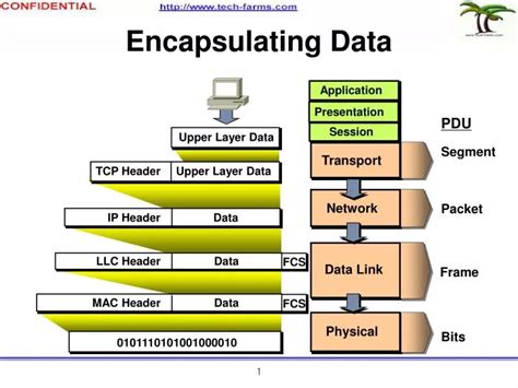 ppt encapsulating data powerpoint presentation free download id
