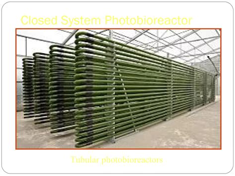 Photobioreactor Ppt