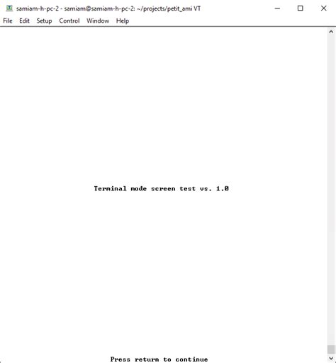Differences Between Vt100xterm And Windows Console · Issue 10531