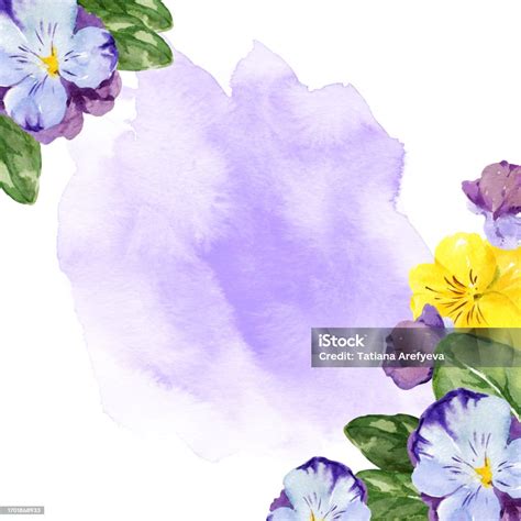손으로 그린 팬지 꽃과 나뭇잎 보라색과 노란색 봄 꽃 라일락 수채화 배경에 여름 그림이 있는 수채화 프레임 삼색제비꽃에 대한 스톡 벡터 아트 및 기타 이미지 Istock