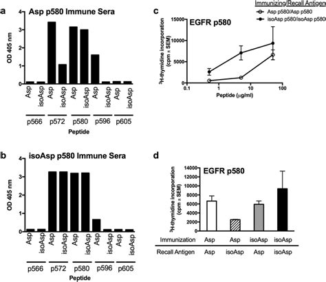 Immunization With Egfr P580 Peptide Isoforms Generates Peptide Specific