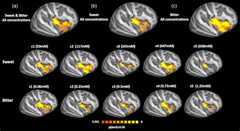 Main Effects Analysis In The Right Insular Cortex First Row A Main