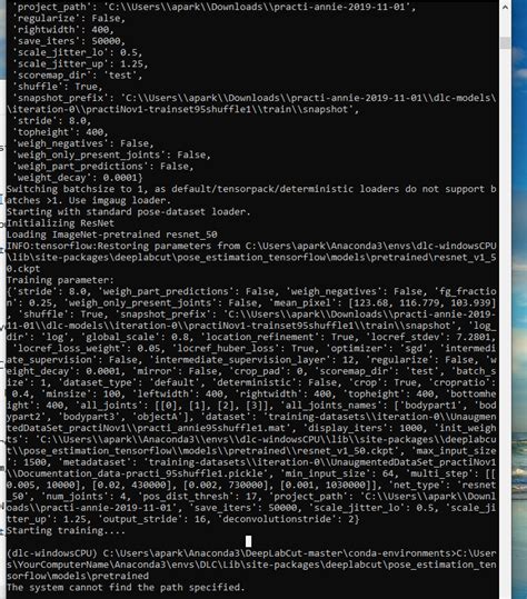 Training Not Starting And Exiting From Python Not Finding Model Weightspath Issue · Issue