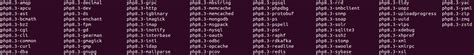 Running PHP With Nginx On Ubuntu HiBit