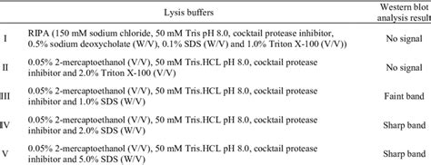 The List Of Different Lysis Buffers Used For Recombinant Psca