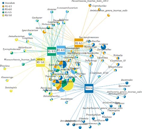 Microbial Network During The Acid Tolerant Acclimation Process Each Download Scientific
