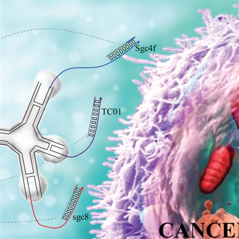 Schematic Illustration Of The Programmed Operation Of Multiparameter Download Scientific