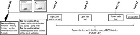 Experimental Schedule For The Contextual Fear Conditioning Protocol