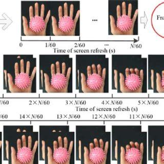 The Method Of Generating The Stimulus Download Scientific Diagram