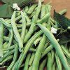 15 Types Of Green Beans You Should Try Mothers Always Right