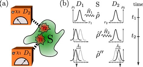 a sketch of the setup two observables are measured by detectors dj