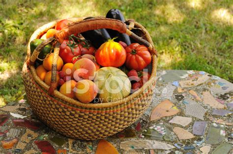 정원에서 여름 과일 바구니 스톡 사진 Freeimages