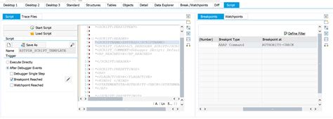 debug scripting to bypass authority check statements