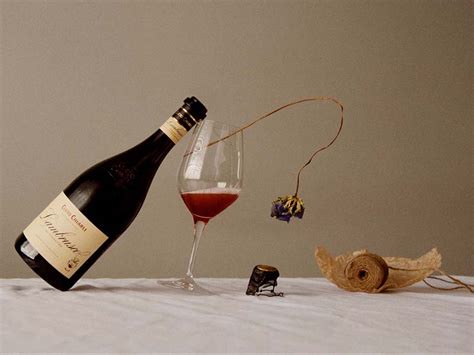 Lambrusco Reviews - Perfect Italian Wine for All Foods - FlatDEN