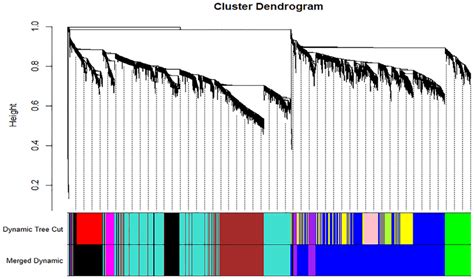 by utilizing the wgcna package a dendrogram was constructed to cluster