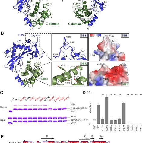 Kai Zhang Professor Assistant Ph D Yale University New Haven Yu Department Of