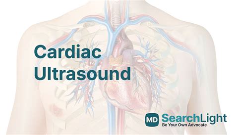 Cardiac Ultrasound Echocardiogram Md Searchlight