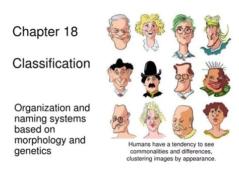 Ppt Chapter 18 Classification Powerpoint Presentation Free Download