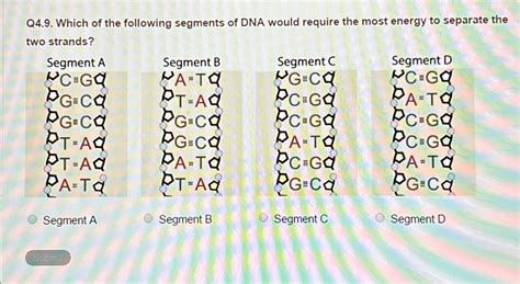 Solved Q49 ﻿which Of The Following Segments Of Dna Would