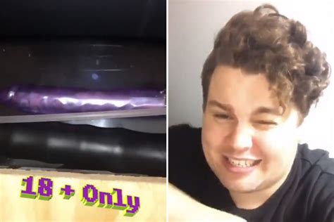 Travelodge Guest Finds Two Sex Toys Hidden In Cistern Of Toilet The Us Sun