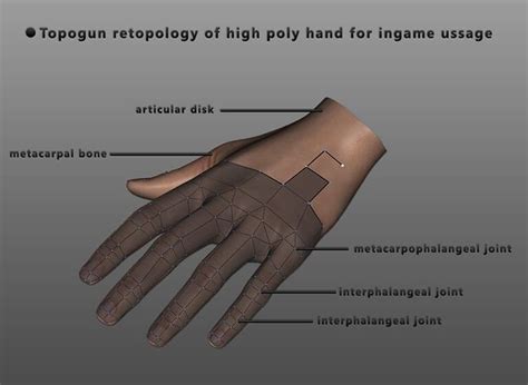 the pipeline behind modeling and animating a game character in zelgor