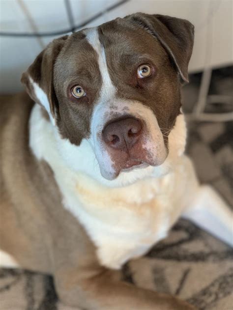 Marissa Ruby Shrm Cp Posted On Linkedin