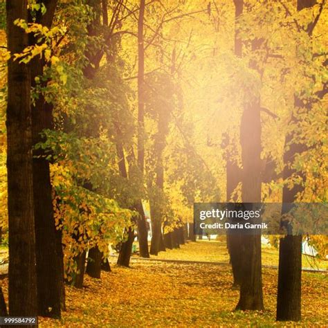 Dadia Photos And Premium High Res Pictures Getty Images